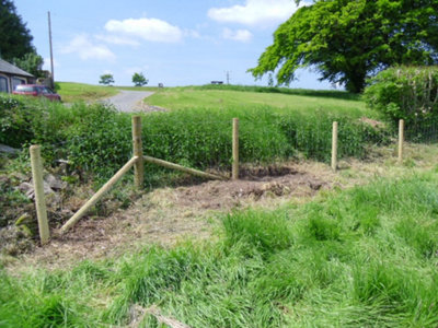 Galvanised Stock Fencing M8/100/15 Sheep Pig Livestock Fence 50m/1m