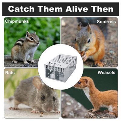 Galvanized Steel Humane Automatic Continuous Mouse Trap Cage Rat ...