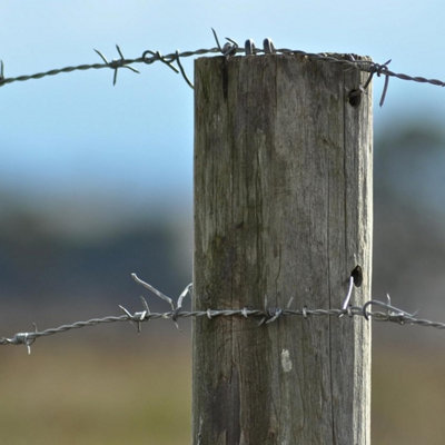 Galvanized U Nails Rust Resistant Fence Staples for Chicken Wire Mesh ...
