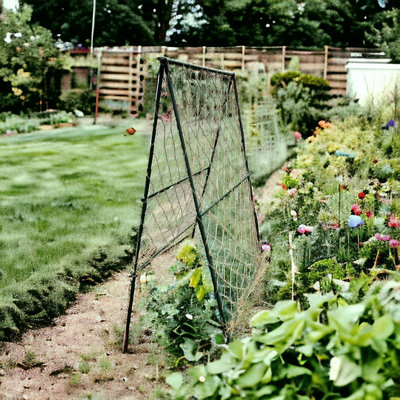 Garden Bean Frame with Natural Jute Netting