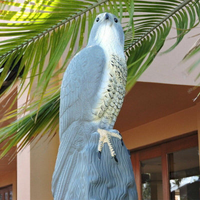 Garden Falcon Bird Deterrent Pest Control