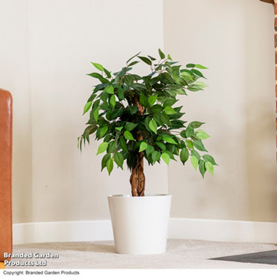 Garden Gear Artificial Ficus Tree 90cm with Natural Wood Trunk, Silk ...