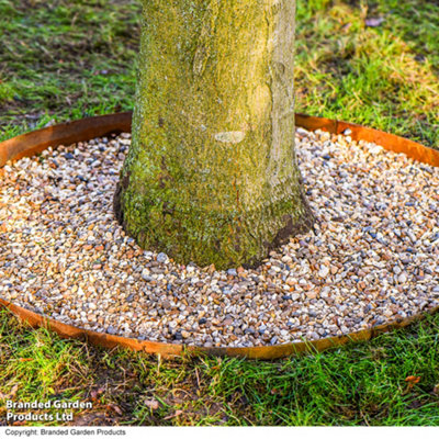 Garden Gear Circular Heavy Duty Metal Border Edging for Bushes, Shrubs ...