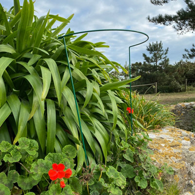 Garden Hoop Plant Bow Support System 52cm x 90cm (Pack of 10)