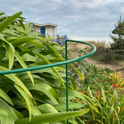 Garden Hoop Plant Bow Support System 52cm x 90cm (Pack of 10)