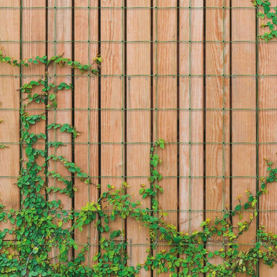 Garden Netting - Outdoor Polypropylene Trellis Mesh Net Support for ...