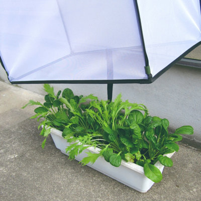 Garden Netting Plant Cover 75x40x60cm H - Fine Mesh Protection Cage for ...