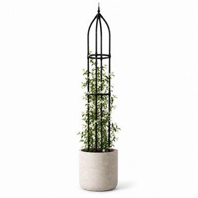 Garden Obelisk for Climbing Plants 220cm 7ft - Metal Plant Cage Support ...