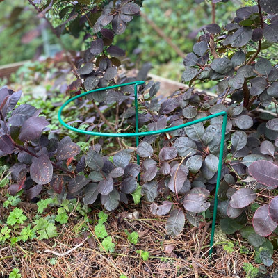 Garden Plant Support Hoop Bow System 30cm x 45cm (Pack of 10)