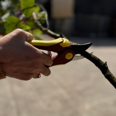 Garden Pro Secateurs Pruning Plant Flowers Snipping Hand Trimming Tool
