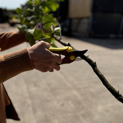 Garden Pro Secateurs Pruning Plant Flowers Snipping Hand Trimming Tool