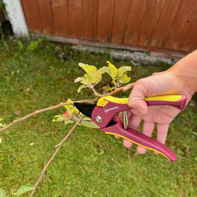 Garden Pro Secateurs Pruning Plant Flowers Snipping Hand Trimming Tool