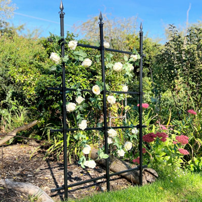 Garden Trellis for Climbing Plants 6ft / 180x150cm High - Metal Rose ...
