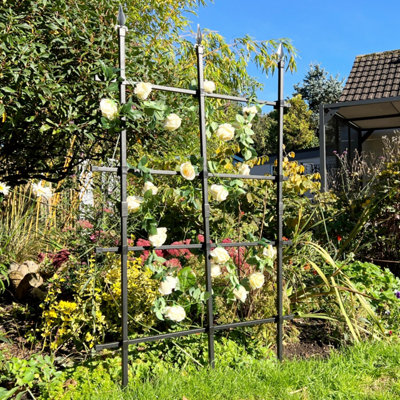 Garden Trellis for Climbing Plants 6ft / 90x180cm High - Metal Rose ...