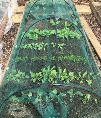 Gardening Naturally Black Hoop Tunnel - No Netting - 1.8m