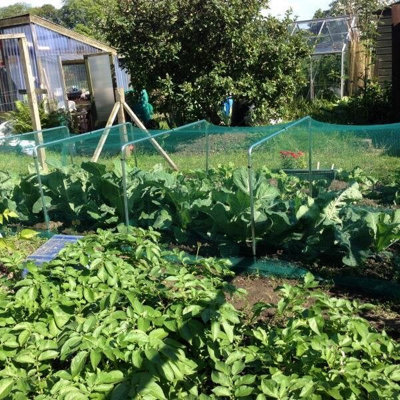 Gardening Naturally Green Bird Netting 2m x 5m For Fruit Vegetables And ...