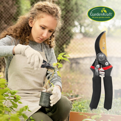 Shears for cutting branches store