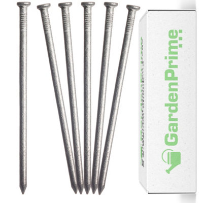 GardenPrime 6mm x 150mm Round Head Nails - Parent | DIY at B&Q