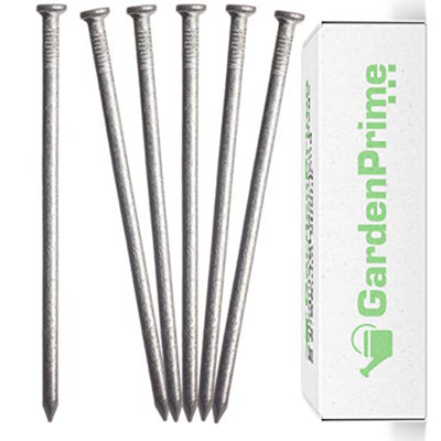 GardenPrime 6mm x 150mm Round Head Nails - Parent | DIY at B&Q