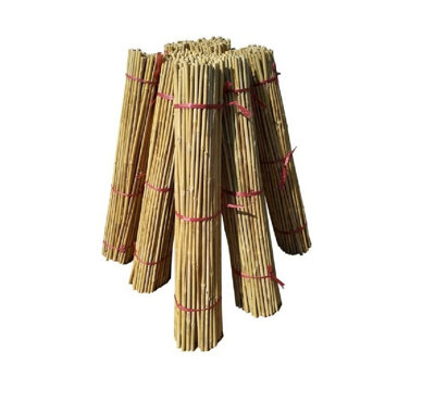 Gardens Large Extra Strong Heavy Duty Home Professional Bamboo Plant ...