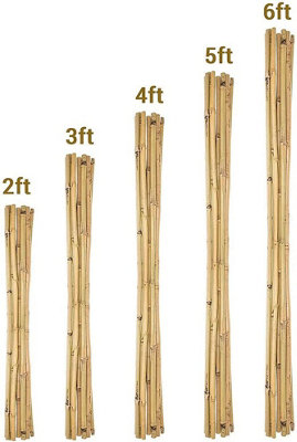 Gardens Large Extra Strong Heavy Duty Home Professional Bamboo Plant ...