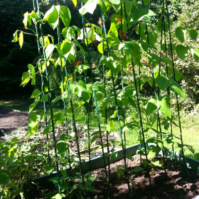 GardenSkill Easy Grow Runner Bean Frame & Climbing Plant Support Garden ...