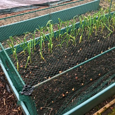 GardenSkill Fruit & Vegetable Cage 2.4x1.2x0.65m High - Garden Bird Net ...