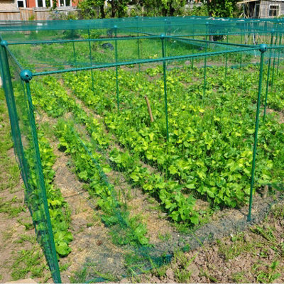 GardenSkill Grow House Fruit Vegetable Frame with Plant Protection Bird ...