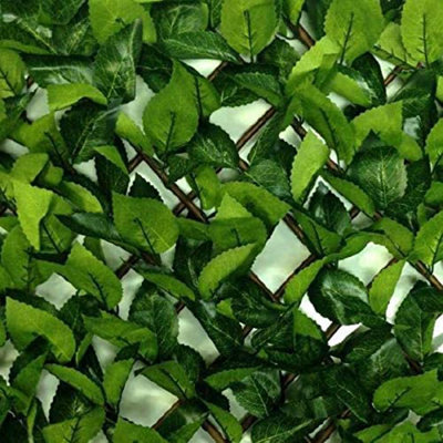 Gardman 0.6m x 1.8m Birch Leaf - Medium Trellis | DIY at B&Q