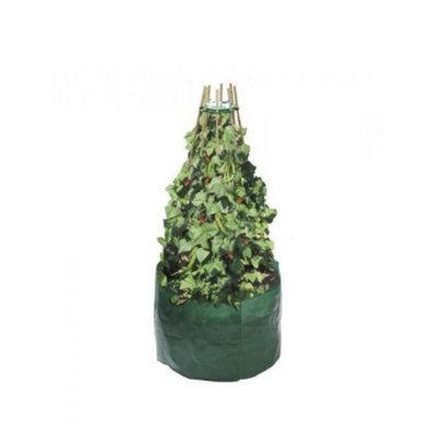 Garland Pea and Bean Support Ring - Garden Cane Holder