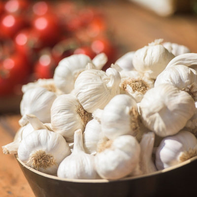 Garlic Bulbs Cristo x 4 - Easy to Grow Hardy Bulbs Ready to Plant in UK ...