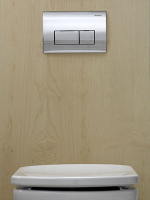 Geberit Kappa50 Dual Flush Plate Stainless steel | DIY at B&Q