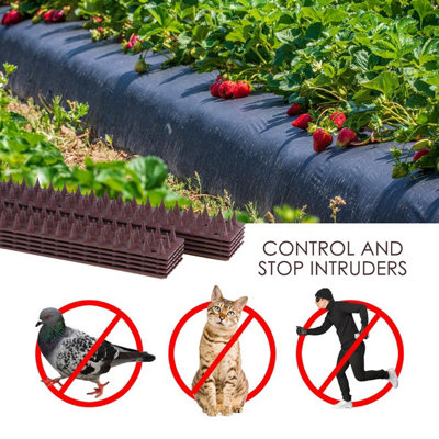 GEEZY Bird Fence Wall Spikes Cat Pigeon Deterrent Anti Climb Security ...