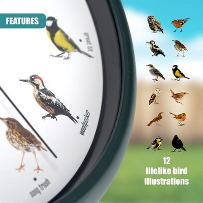 GEEZY CHIMING BIRD WALL CLOCK CUCKOO HANGING TALKING SINGING CLOCK 12 ...