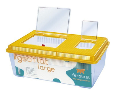 Geo Plastic Tank Flat Large Mixed Colours 46.7x30.5x17.5cm | DIY at B&Q