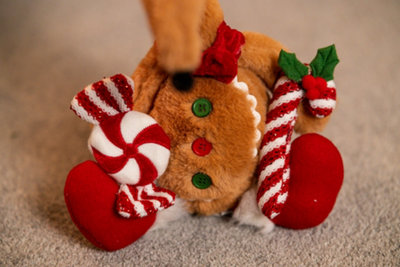 Gingerbread Rat Christmas Decoration - Renton Rat