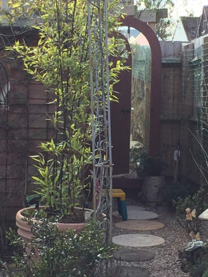 Glass Illusion Wooden Garden Mirror Gate 6ft x 2ft 8in