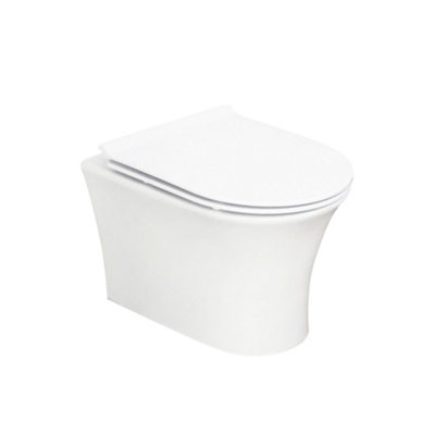 Gloss White D Shape Hidden Fixation Wall Hung Rimless Toilet WC Pan ...