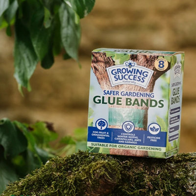 Glue Band Tree Moth & Insect Traps