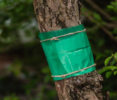 Glue Band Tree Moth & Insect Traps