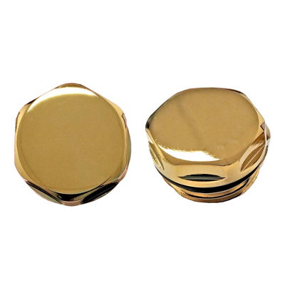 Gold Radiator Blanking Plug For Radiator and Towel Rail x2