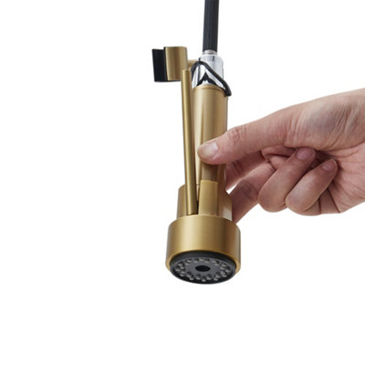 Gold Stainless Steel Pull Down Spring Spout and Pot Filler Kitchen Tap ...
