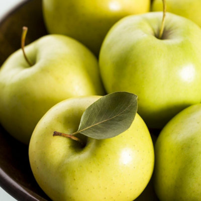 Golden Delicious & Elstar Apple Duo Family Tree - RHS Award-Winning ...