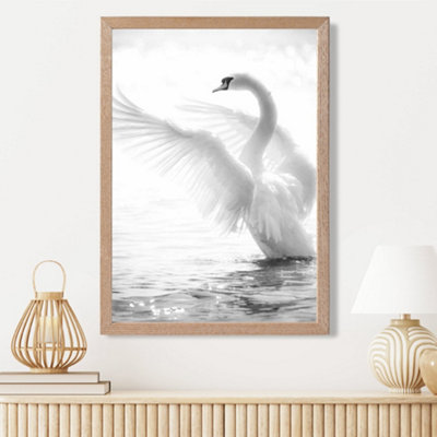 Graceful Swan Bird Black and White Photo Framed Print SIZE: A3 with Oak ...