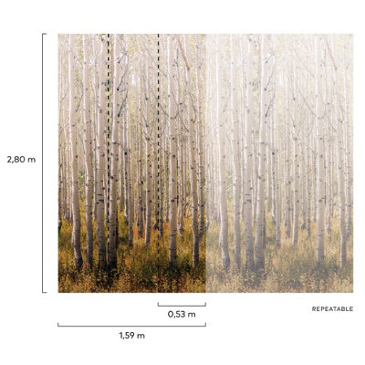 Grandeco Photographic Autumn Birch Trees 3 lane repeatable Textured ...