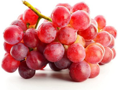 Grape Vitis Plant 'Queen of Esther'- High Yielding Vitis Grape - UK ...