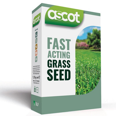 Grass Seed Fast Growing 1.25kg with Free Applicator Box by Ascot