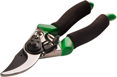 Green Blade Heavy-Duty Carbon Steel Secateurs - 20cm - Green