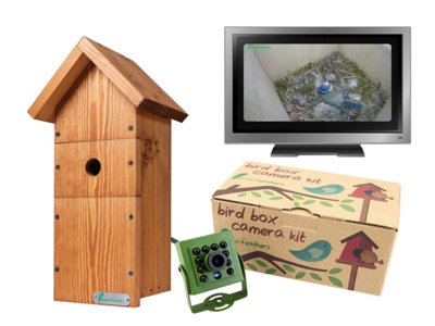 Green Feathers DIY Deluxe Bird Box Kit with 1080p HD Wired Camera | DIY ...