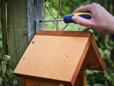 Green Feathers Small Handmade Wooden Bird Box - H34 x W25 x L19 cm